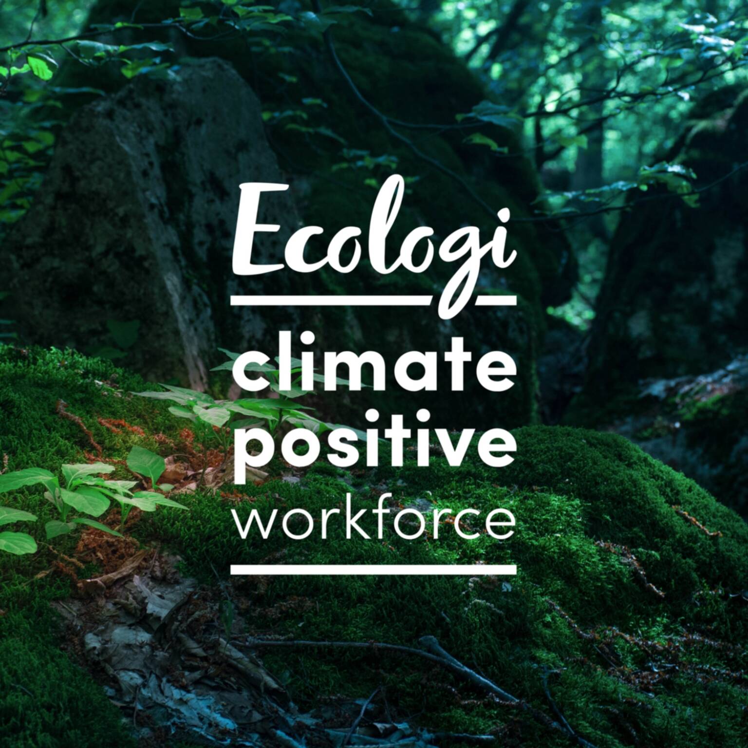 We’re A Climate Positive Workforce | Abstrakt