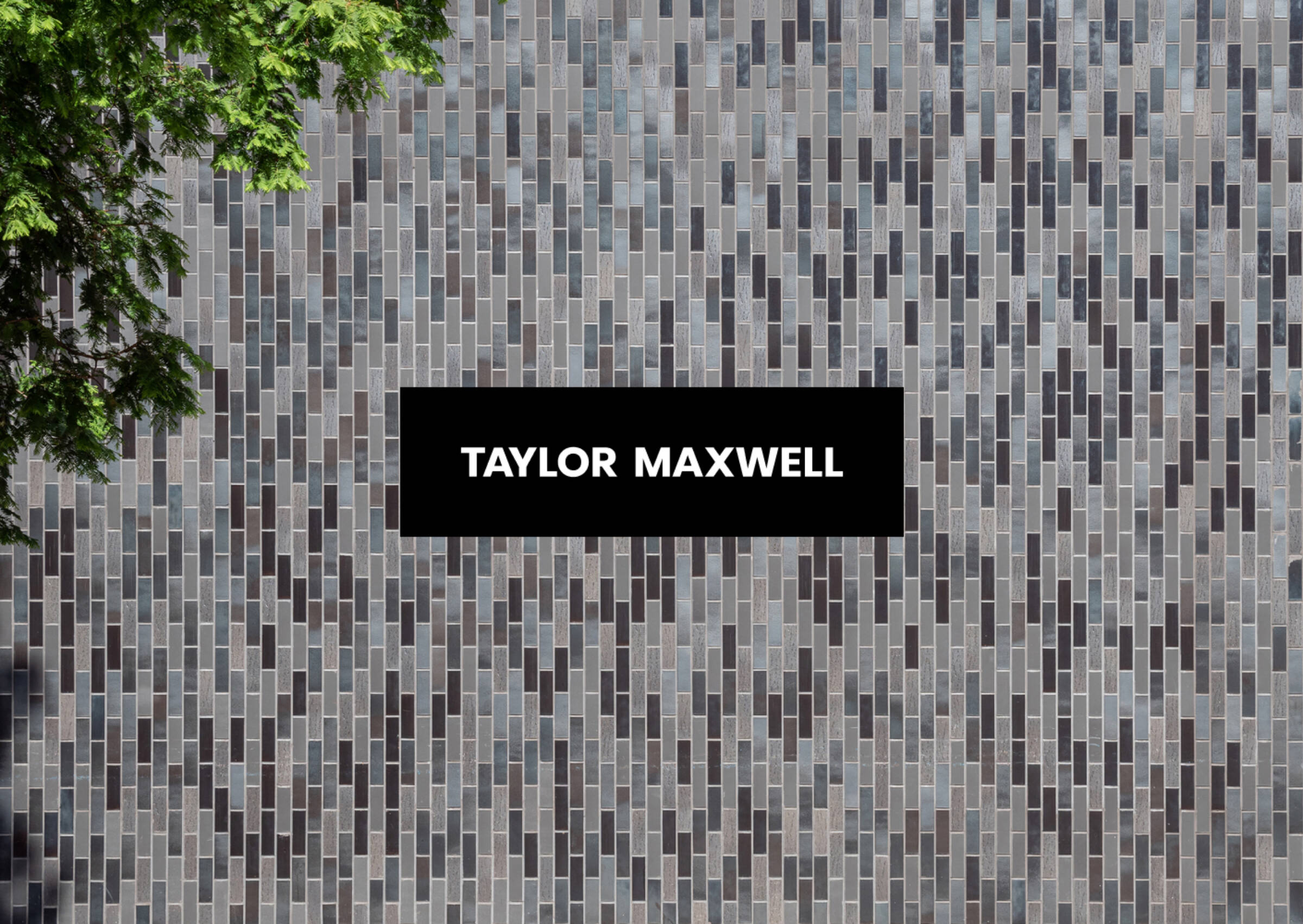 Taylor Maxwell | Abstrakt