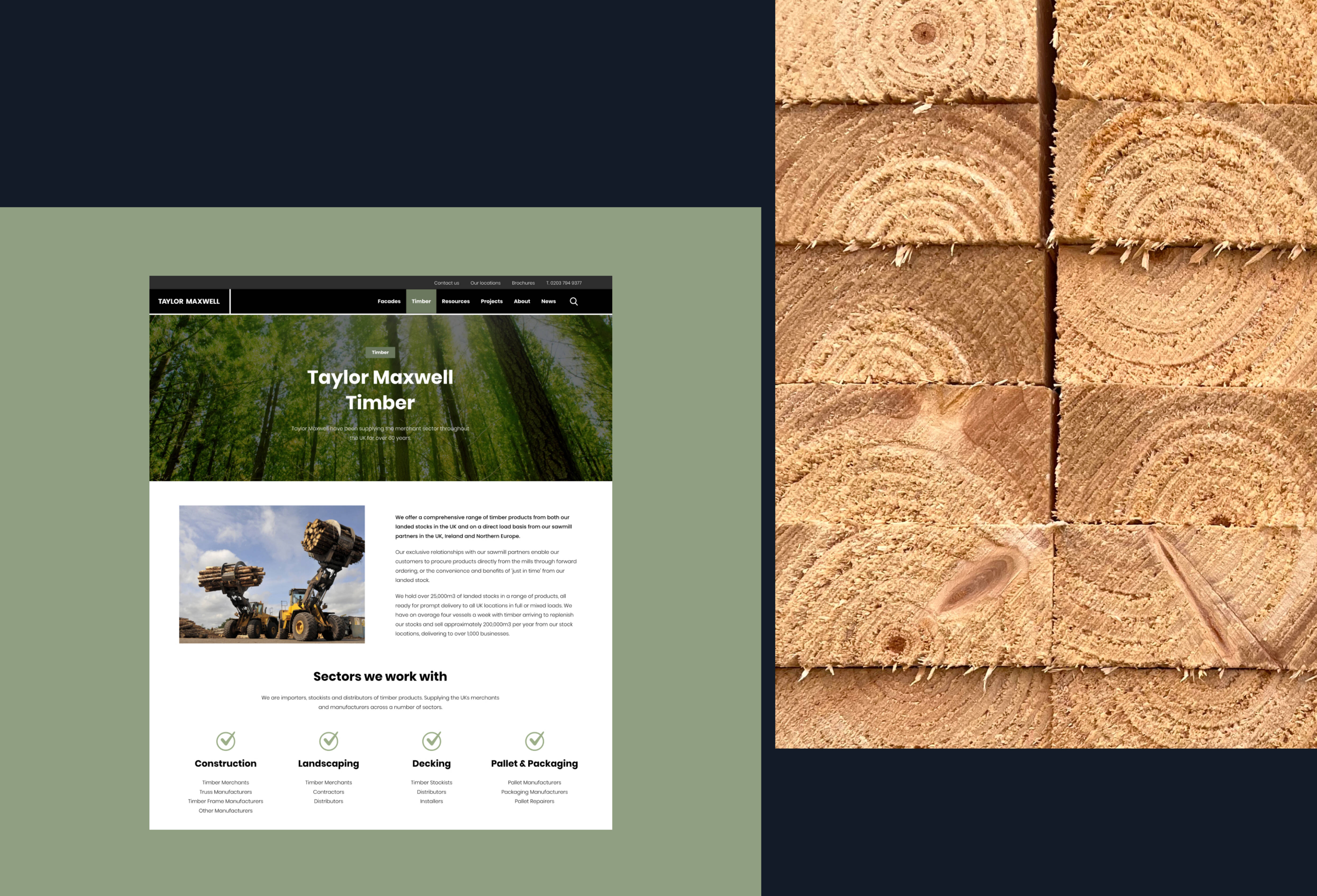 Taylor Maxwell | Abstrakt