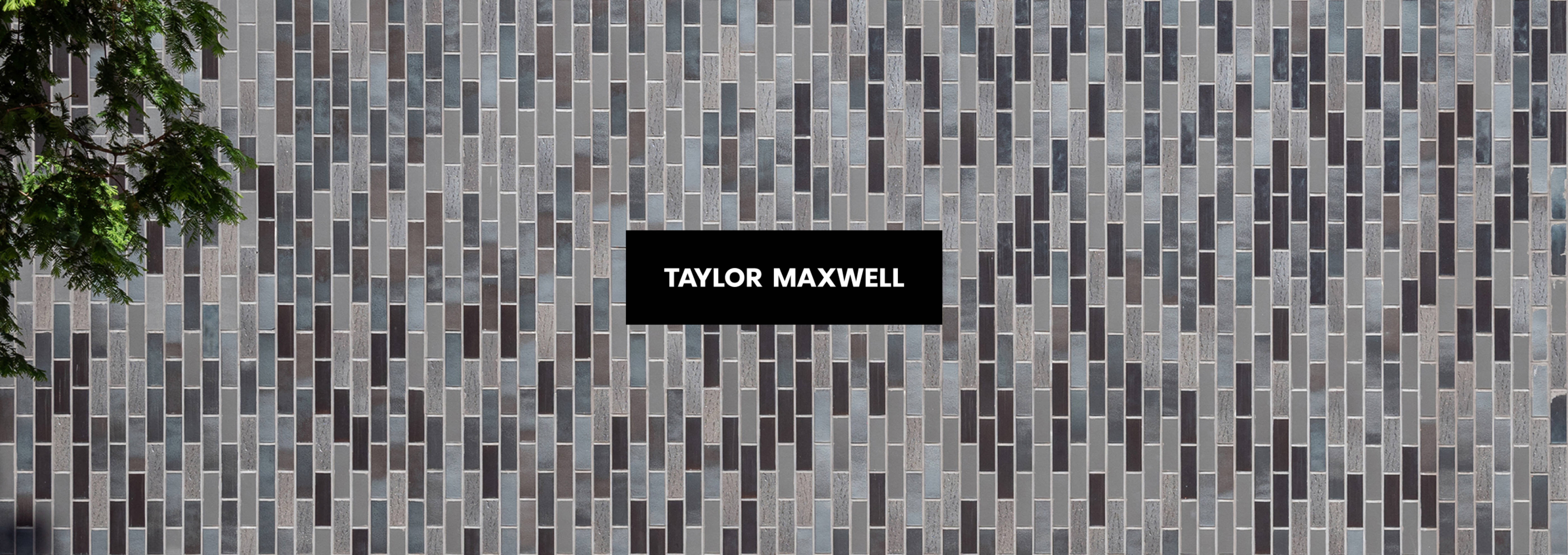 Taylor Maxwell | Abstrakt